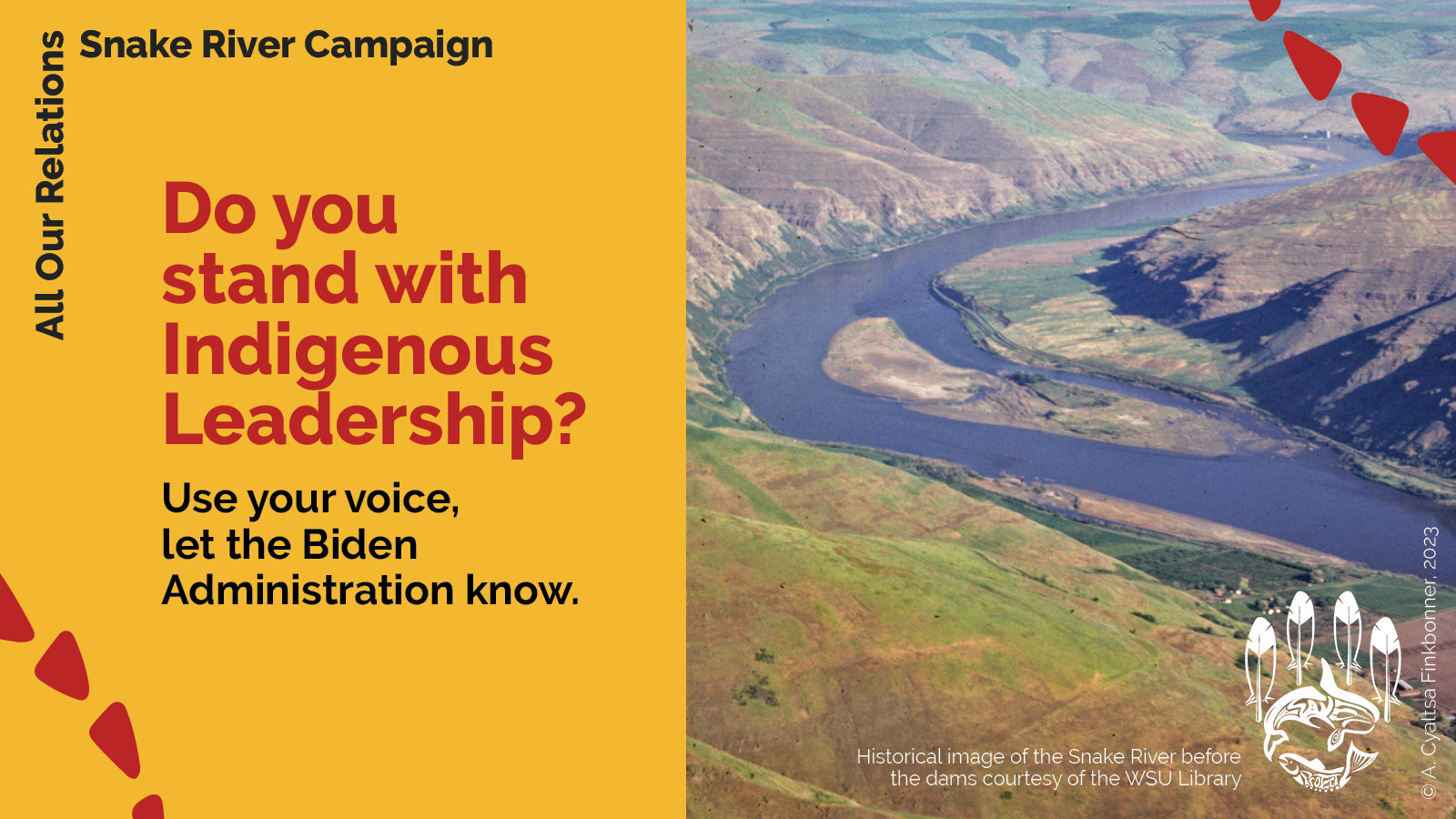 Ask the Biden Administration to remove the Snake River dams to protect ...